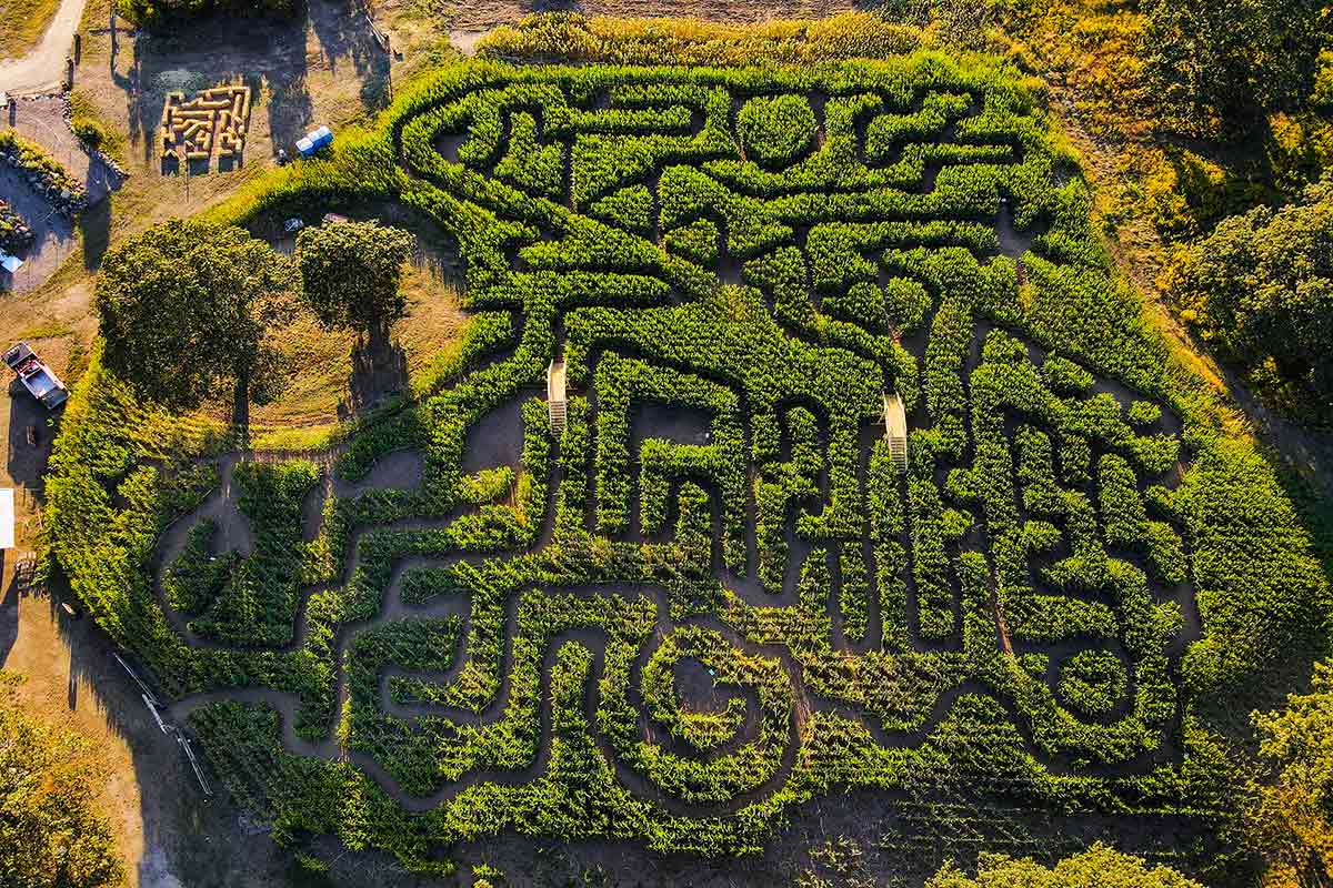 Entertainment Gallery - Clark Farms