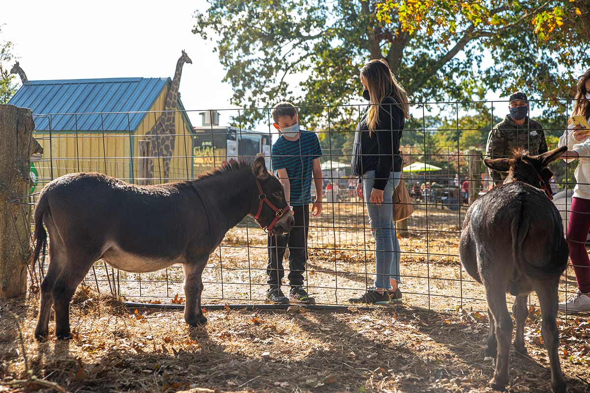 Entertainment Gallery - Clark Farms