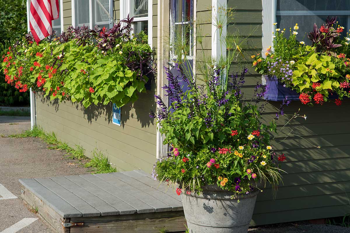 Colorscape Portfolio - Clark Farms