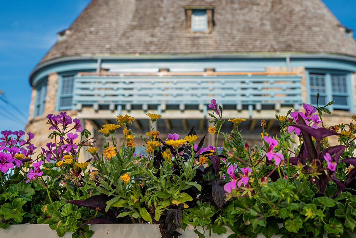 Colorscape Portfolio - Clark Farms