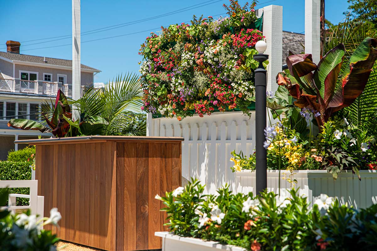 Colorscape Portfolio - Clark Farms