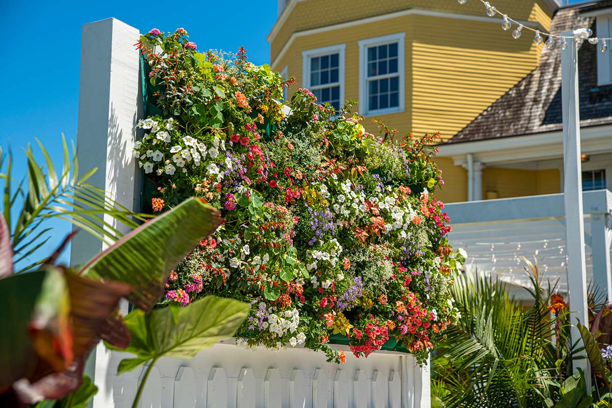 Colorscape Portfolio - Clark Farms