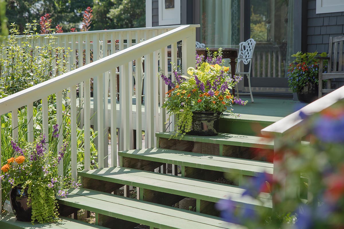 Colorscape Portfolio - Clark Farms