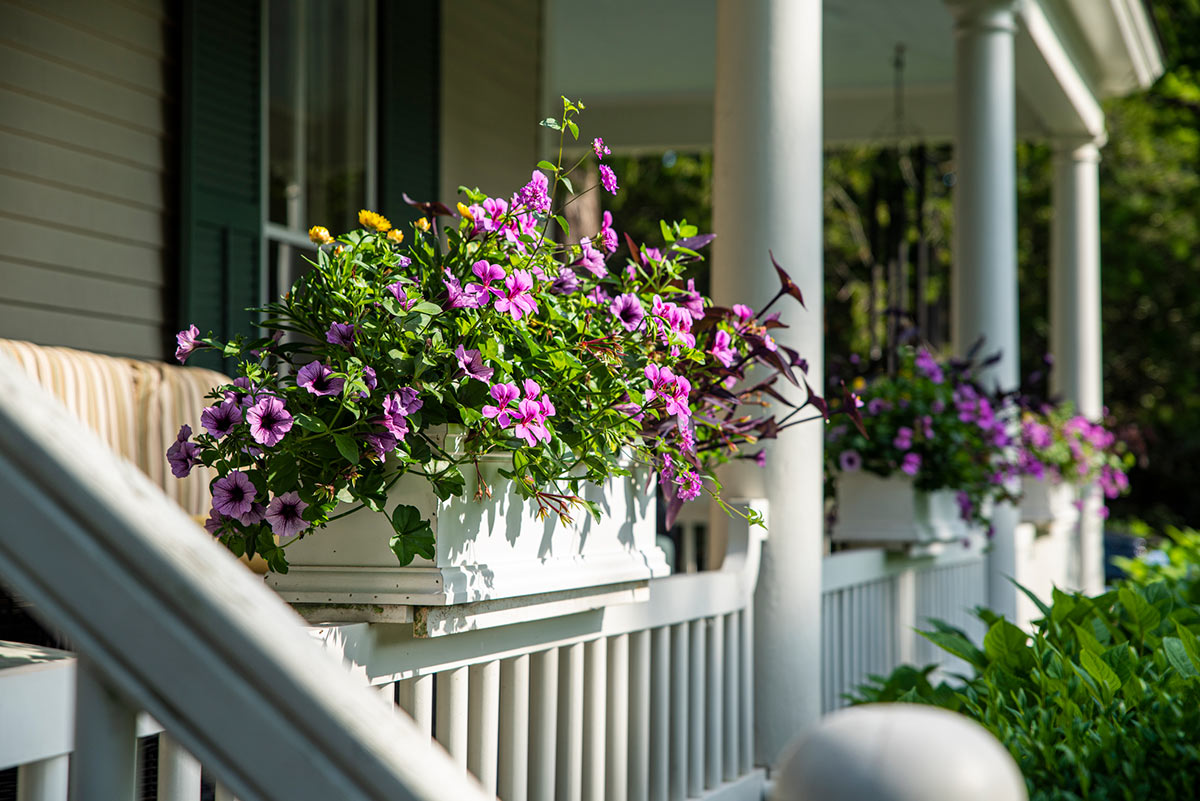 Colorscape Portfolio - Clark Farms