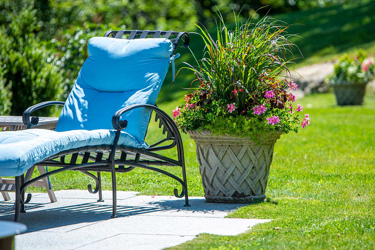 Colorscape Portfolio - Clark Farms