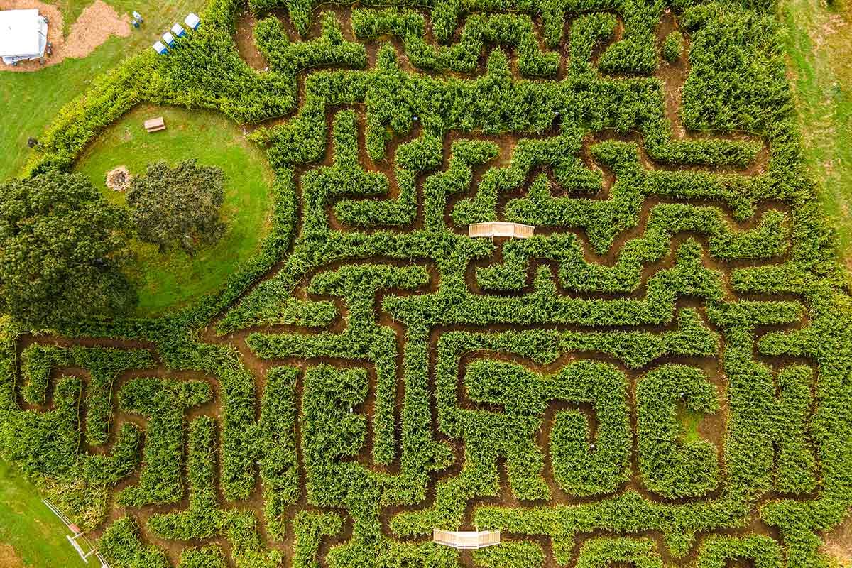 Entertainment Gallery - Clark Farms