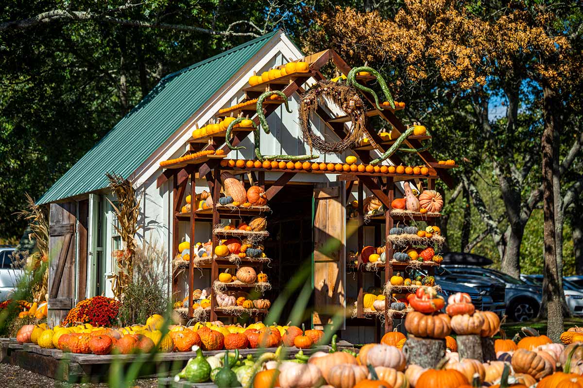 Entertainment Gallery - Clark Farms