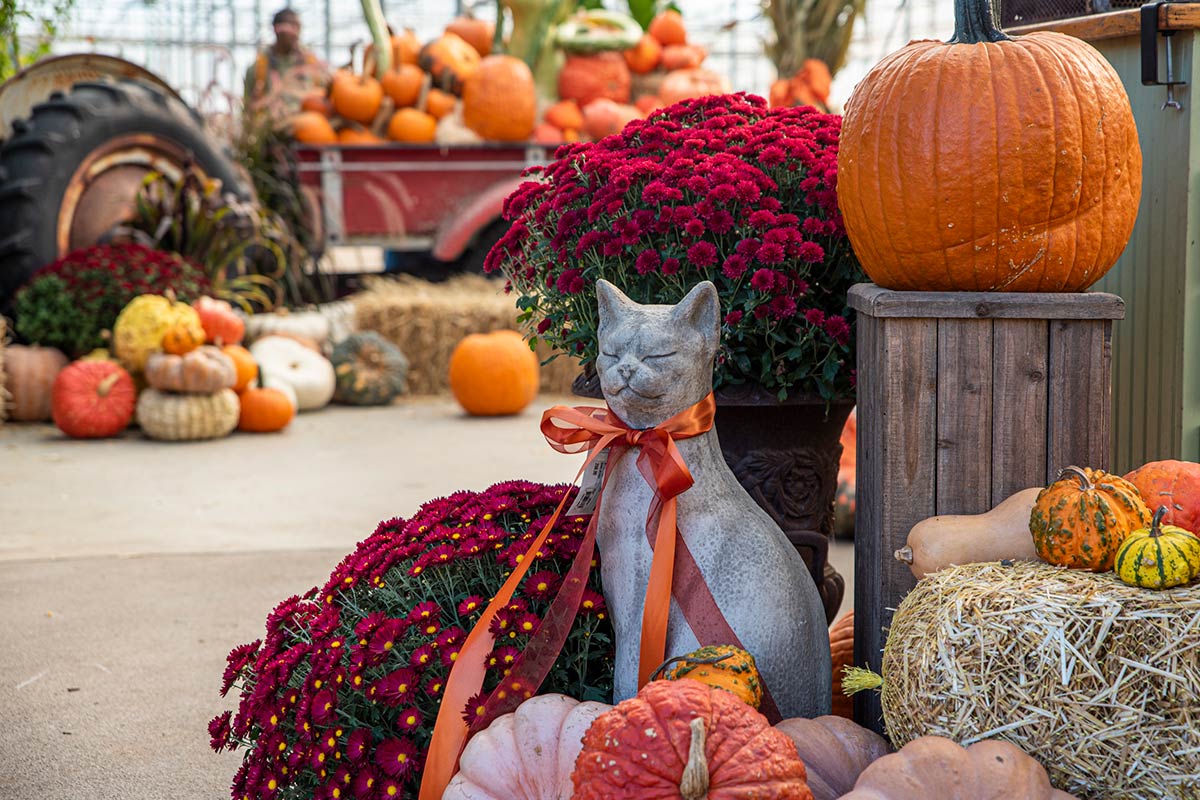 Entertainment Gallery - Clark Farms