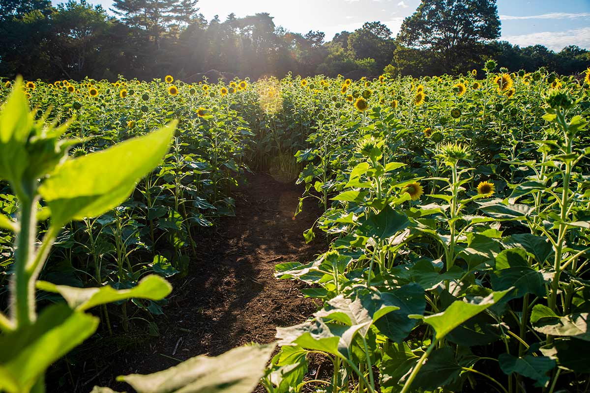 Entertainment Gallery - Clark Farms
