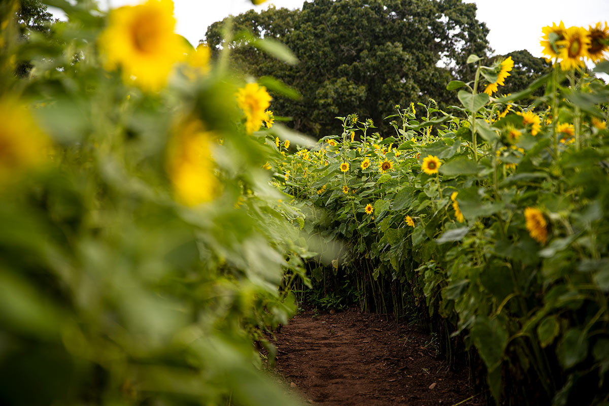 Entertainment Gallery - Clark Farms