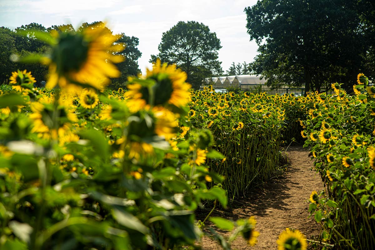 Entertainment Gallery - Clark Farms