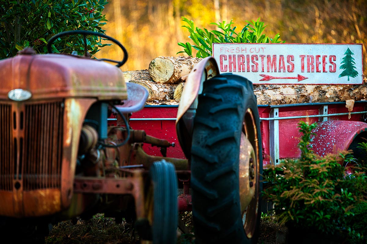 Entertainment Gallery - Clark Farms