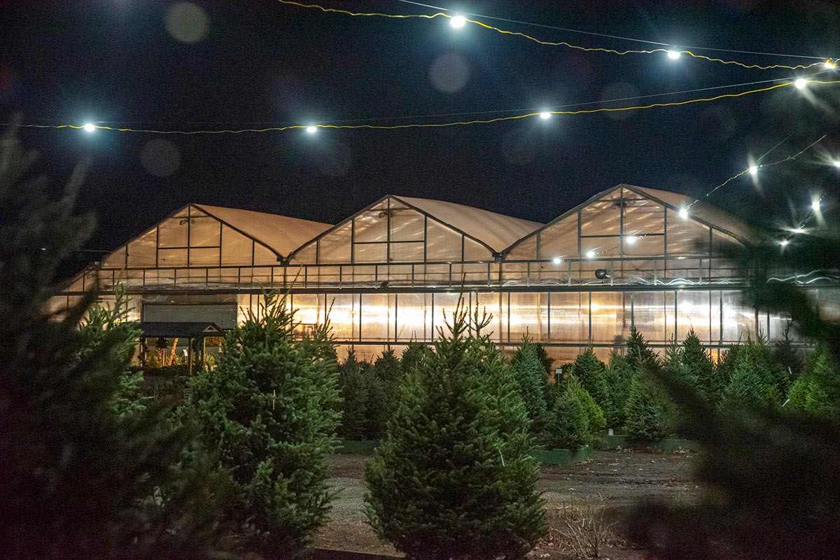 Entertainment Gallery - Clark Farms