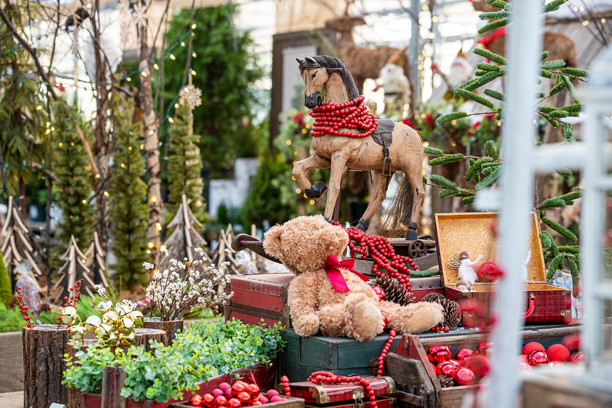 Entertainment Gallery - Clark Farms