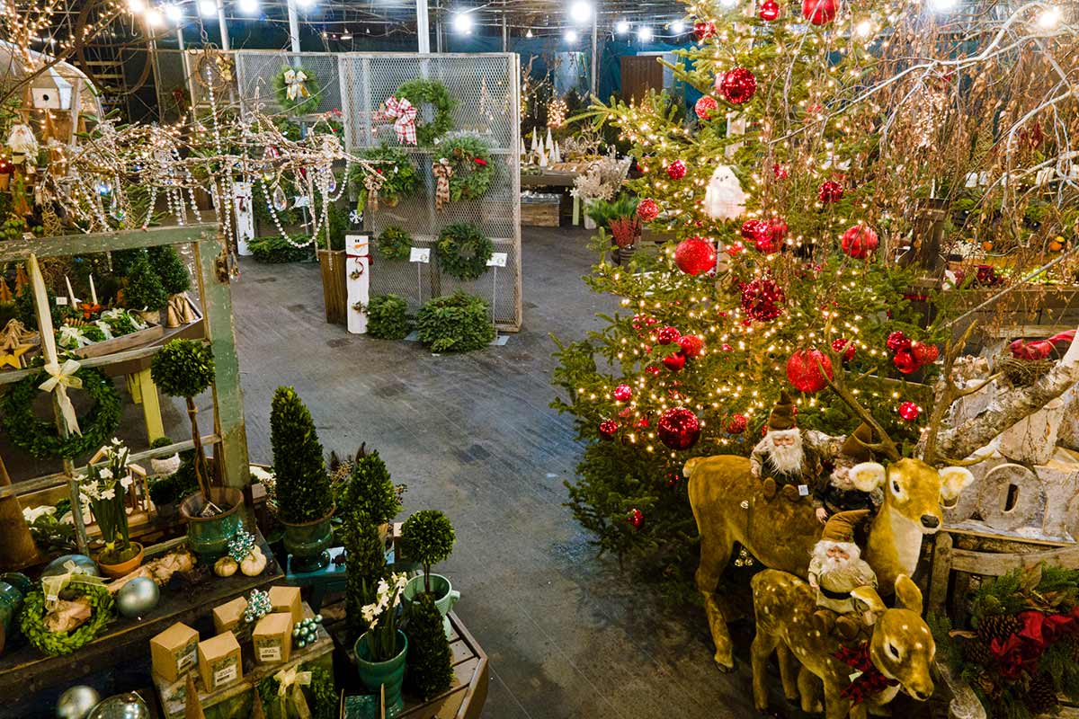 Entertainment Gallery - Clark Farms